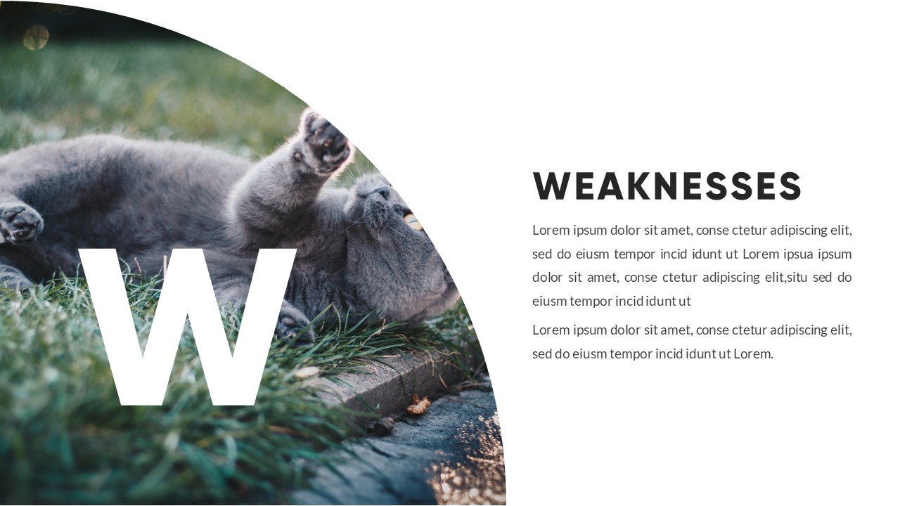 Kucing - Cat Animal Powerpoint Template, Presentation Templates ...