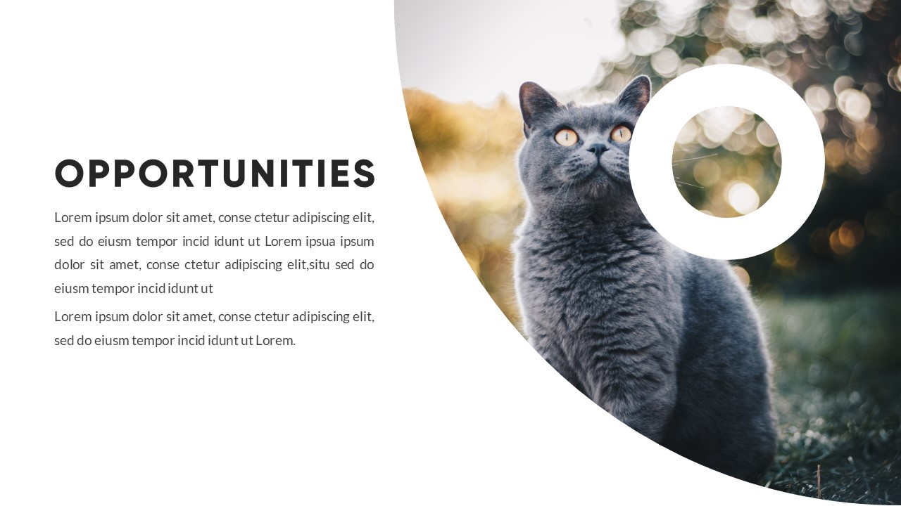 Kucing - Cat Animal Powerpoint Template, Presentation Templates ...