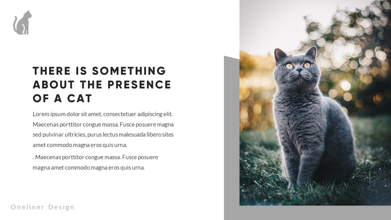 Kucing - Cat Animal Powerpoint Template, Presentation Templates ...