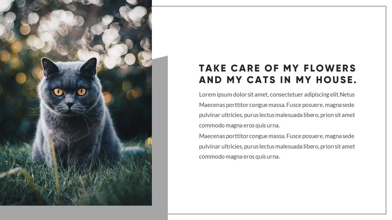 Kucing - Cat Animal Powerpoint Template, Presentation Templates ...