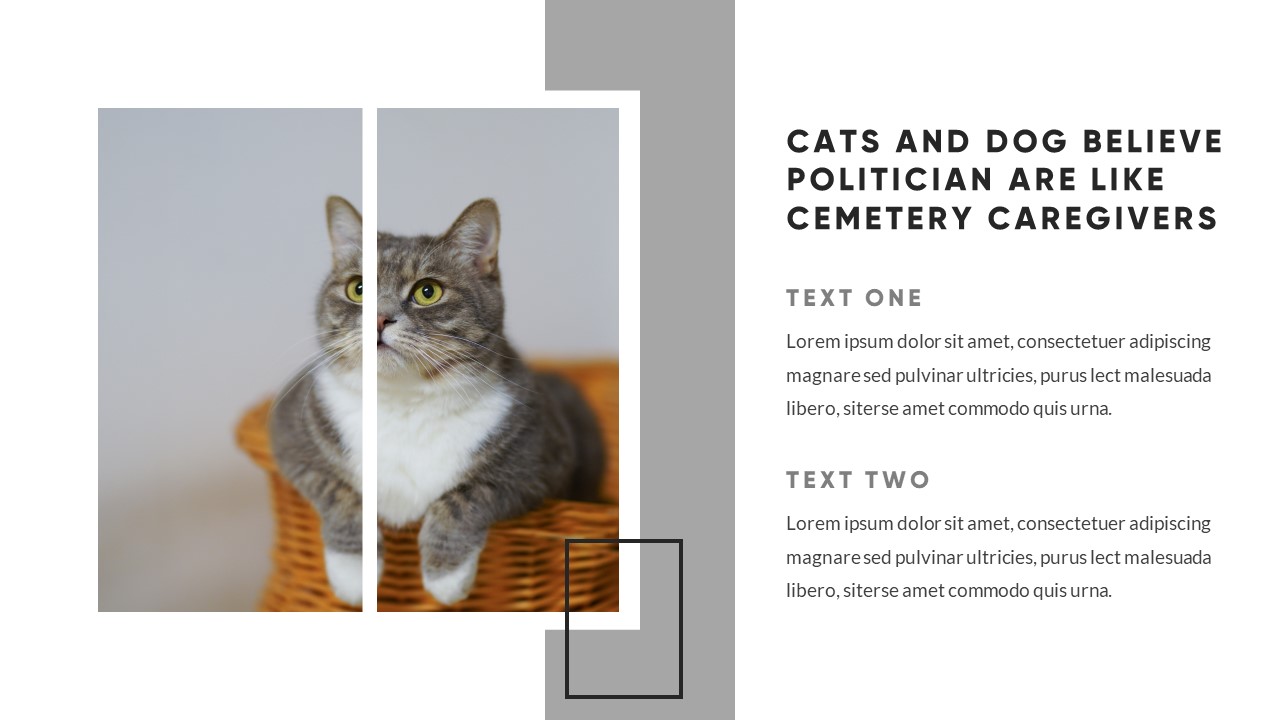 Kucing - Cat Animal Powerpoint Template, Presentation Templates ...