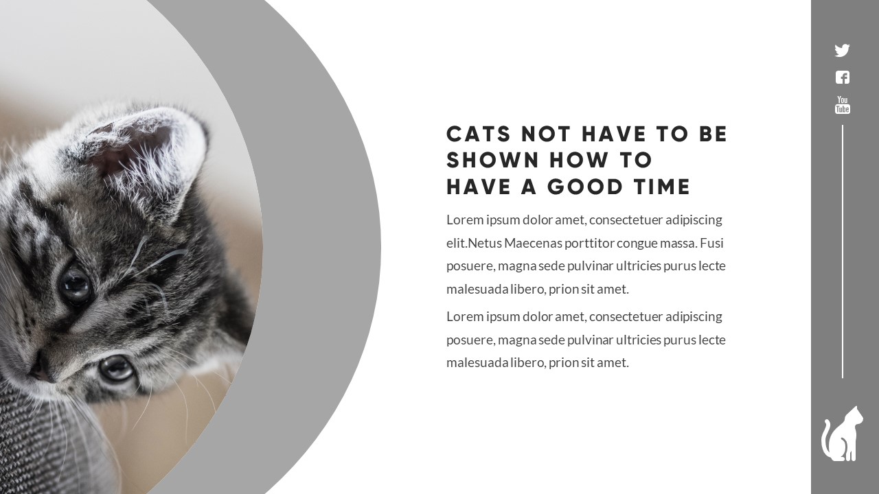 Kucing - Cat Animal Keynote Template, Presentation Templates | GraphicRiver