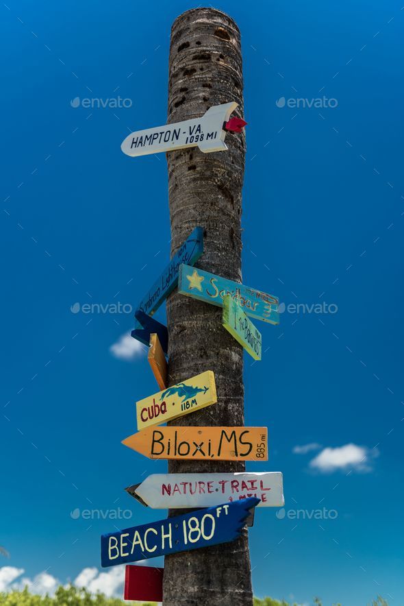 Colorful travel signs on the cut tree trunk show different directions ...