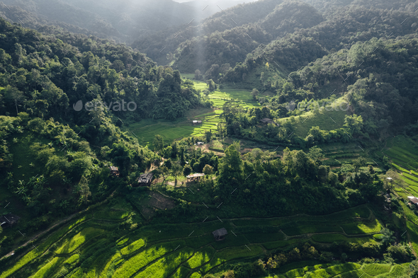 Rice terraces in rural forest with evening light,paddy field Stock ...
