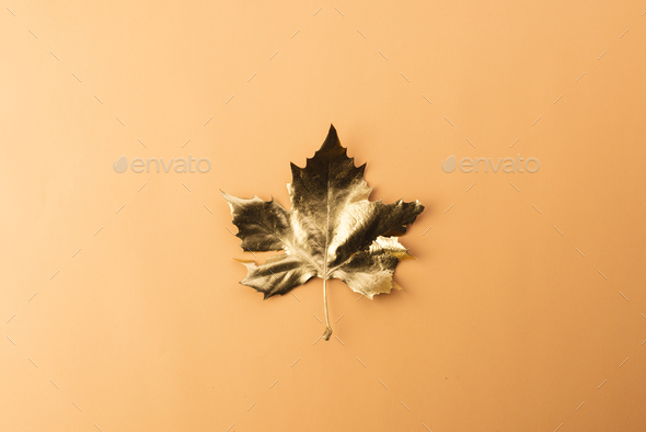 Metallic gold autumn leaf with copy space on orange background Stock ...