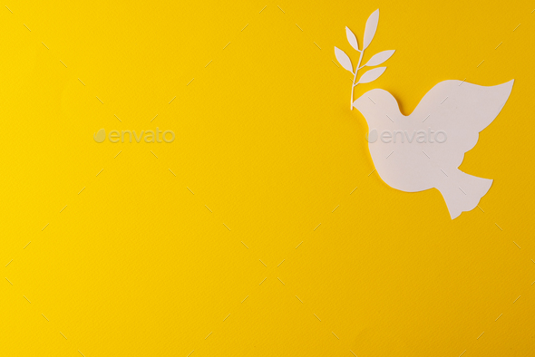 Close up of white dove with leaf and copy space on yellow background ...