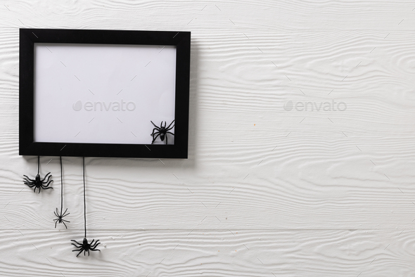 Black frame, spiders with copy space on white background Stock Photo by ...