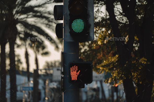 Traffic light showing green light for cars and a red stop sign for ...