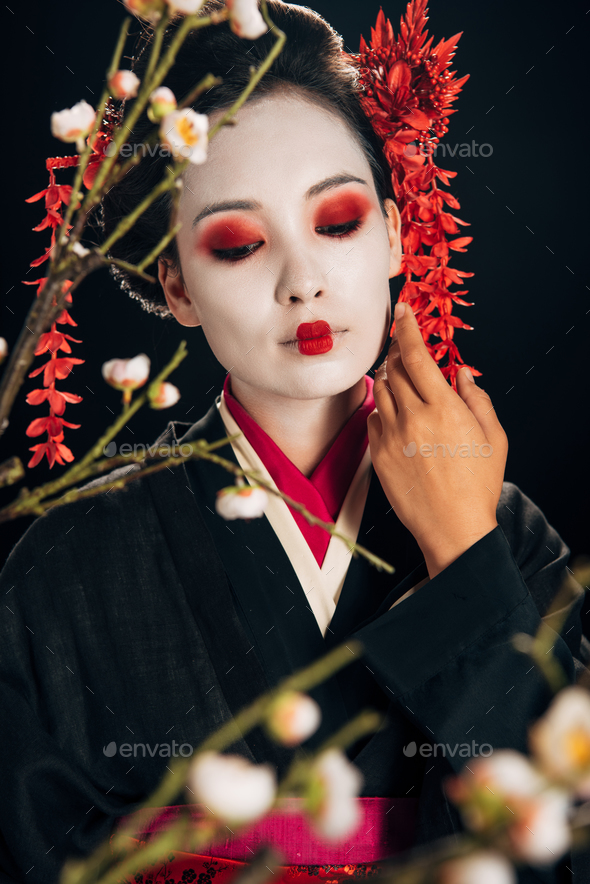 Beautiful Geisha Face