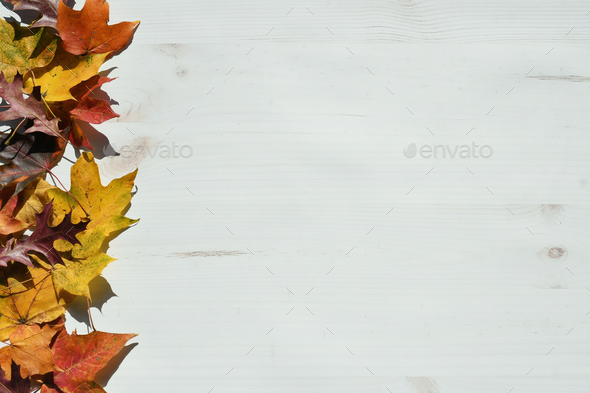 Leaf side border with real autumn leaves - fall season background Stock ...