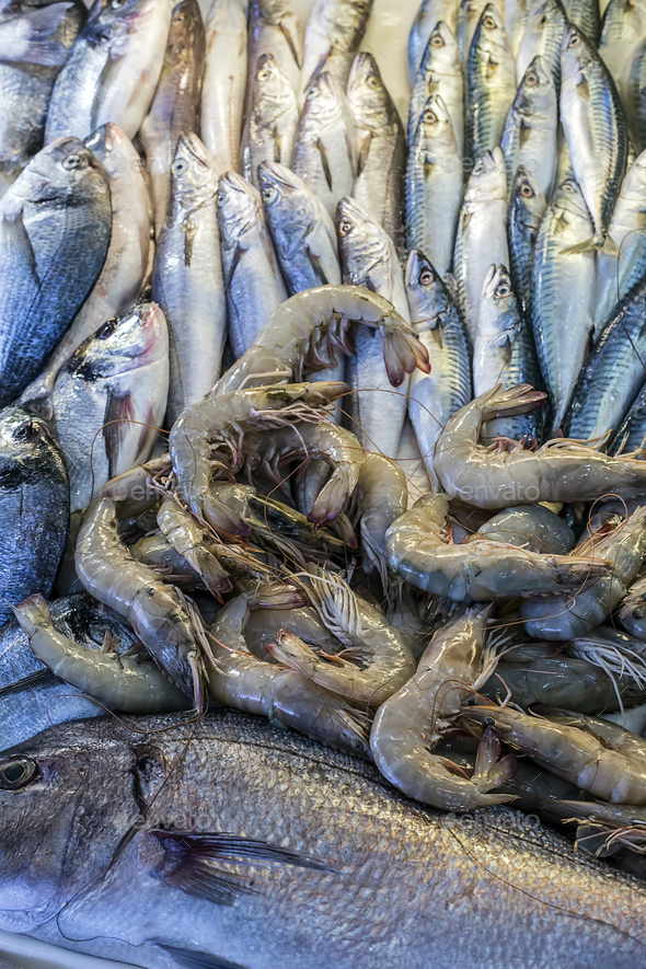 Raw fish market. Seafood healthy fish market. Stock Photo by esindeniz