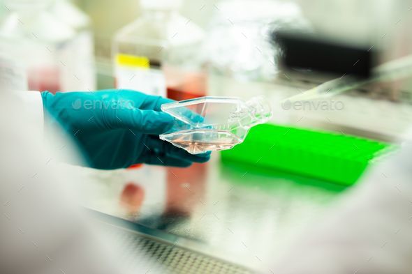 cell culture at the cell culture laboratory Stock Photo by wirestock