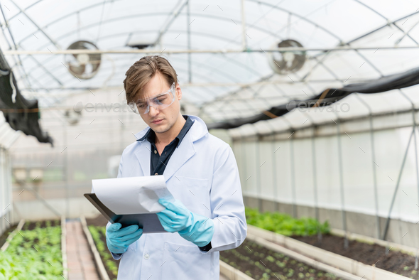 Agricultural researcher in the Industrial greenhouse analyze and take ...