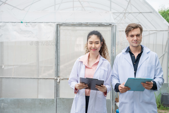 Agricultural researcher in the Industrial greenhouse analyze and take ...