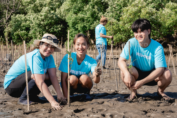 Volunteers help plant a forest to save the world in the forest park ...