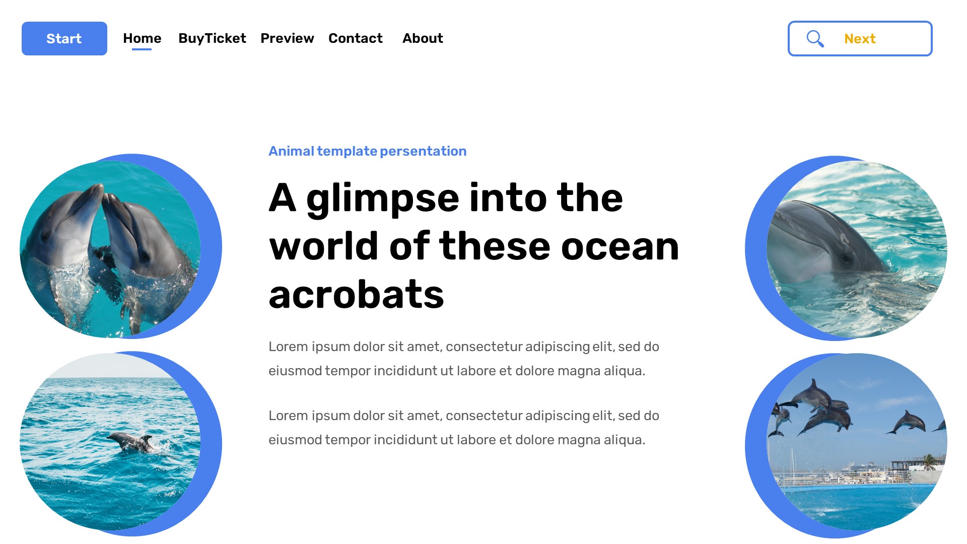 Dopin - Dolphin Animal Show Powerpoint Template, Presentation Templates