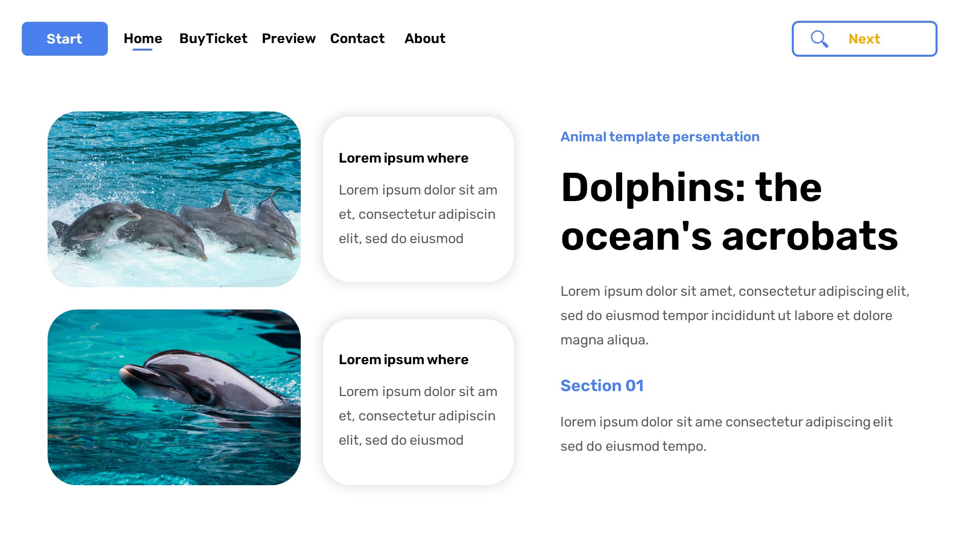 Dopin - Dolphin Animal Show Keynote Template, Presentation Templates