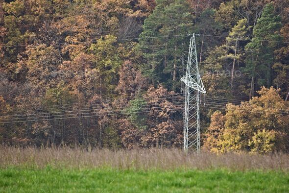 Electricity tower in a rural field with fall trees in the background of ...