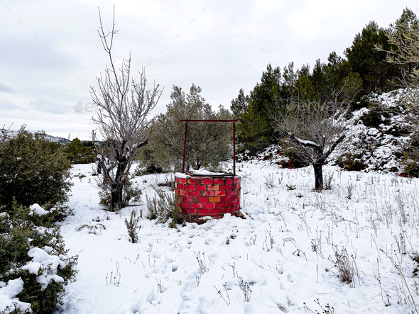 Red well surrounded by the snowy ground and trees captured during the ...