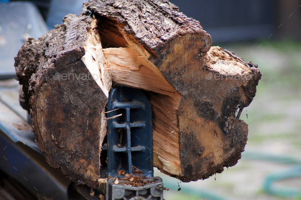 Giant log being divided into two by a mechanical saw in the workshop ...