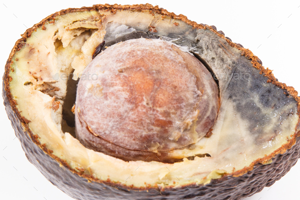 Avocado with mold. White background. Unhealthy and spoiled food Stock ...