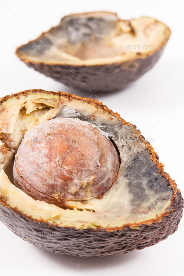 Avocado with mold. White background. Unhealthy and spoiled food Stock ...