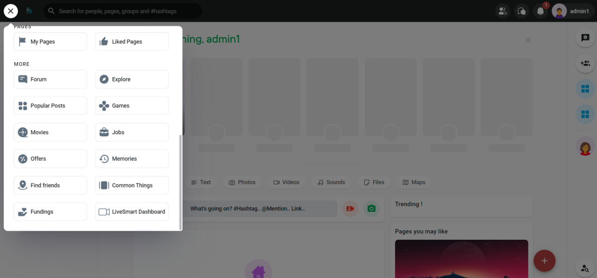 WoWonder Video Chat and Streaming Add-on from LiveSmart by nicky75