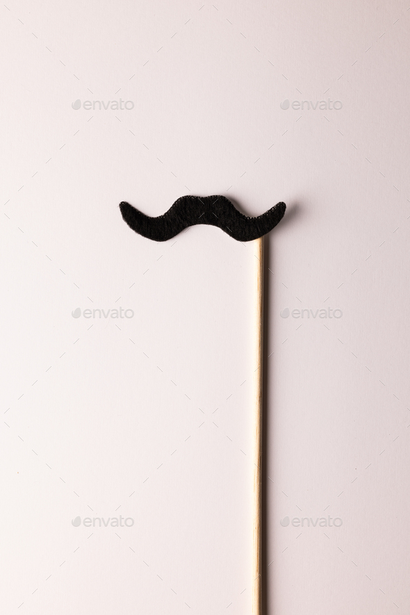 Composition of fake moustache on stick on white background with copy ...
