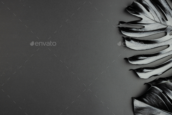 Composition of black lush leaves with copy space on gray background ...
