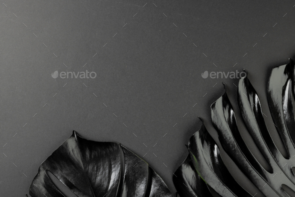Composition of black lush leaves with copy space on gray background ...