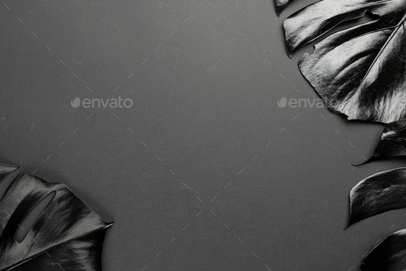 Composition of black lush leaves with copy space on gray background ...
