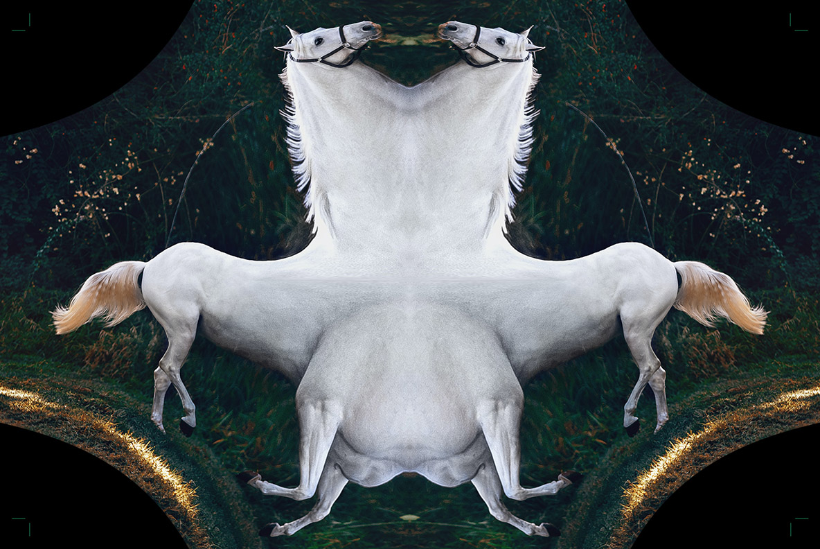 Unwrap Machine - Distort Warp Action, Add-ons | GraphicRiver