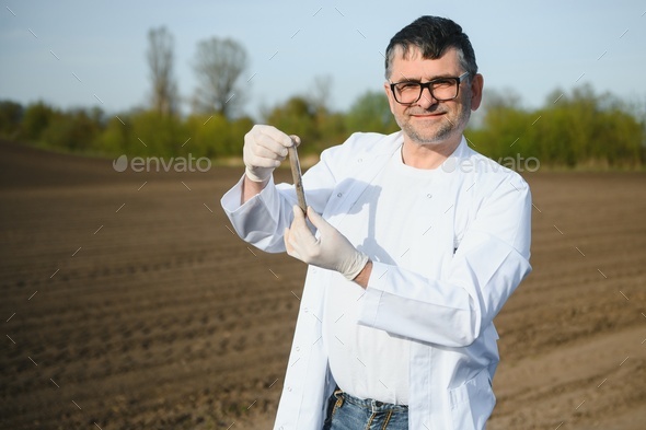 Soil Sampling. Agronomist taking sample with soil probe sampler Stock ...