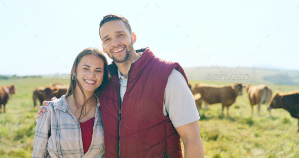 Cow, love and happy couple on a cattle farm hugging, bonding and enjoy ...