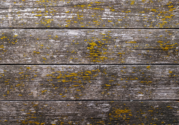 Weathered wood texture Stock Photo by karandaev | PhotoDune