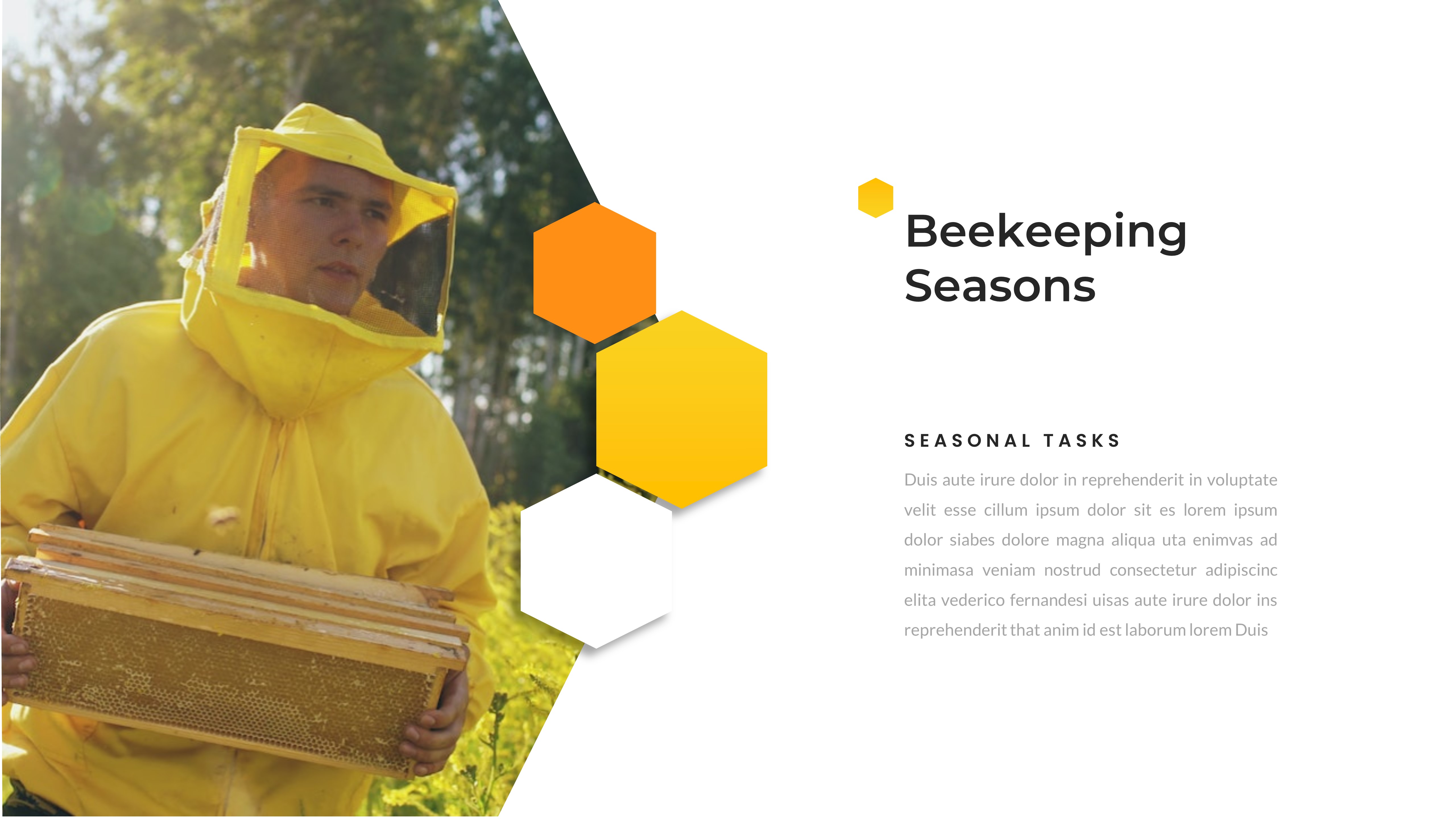 Beekeeping & Honey Production PowerPoint, Presentation Templates ...