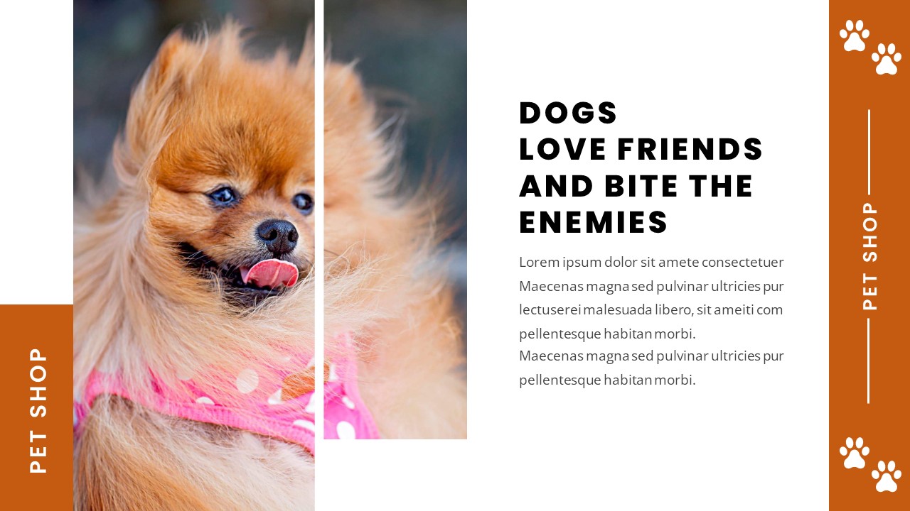 Puppy - Pet Care Animal Powerpoint Template, Presentation Templates