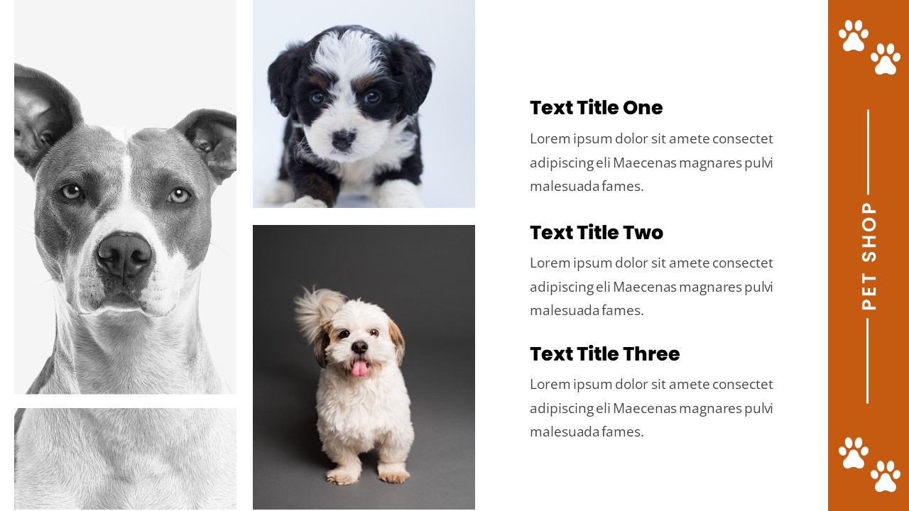 Puppy - Pet Care Animal Powerpoint Template, Presentation Templates