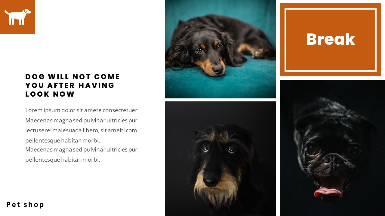 Puppy - Pet Care Animal Powerpoint Template, Presentation Templates