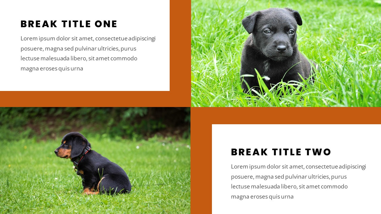 Puppy - Pet Care Animal Powerpoint Template, Presentation Templates