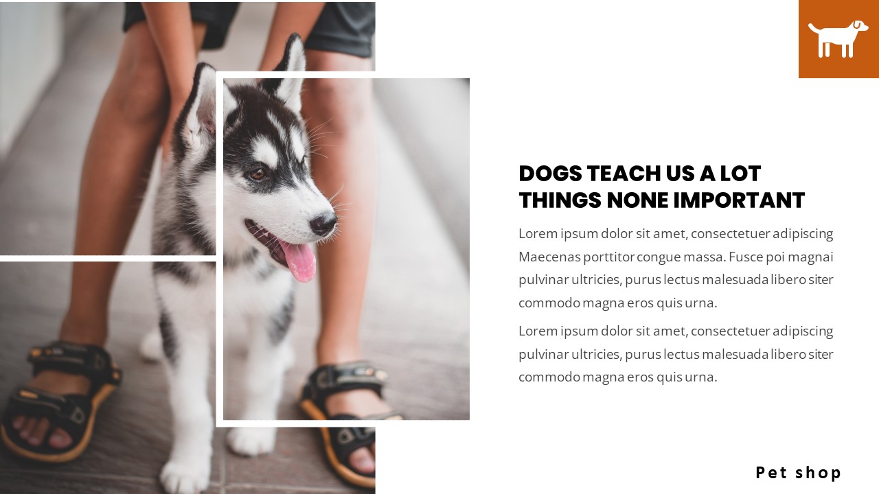 Puppy - Pet Care Animal Powerpoint Template, Presentation Templates