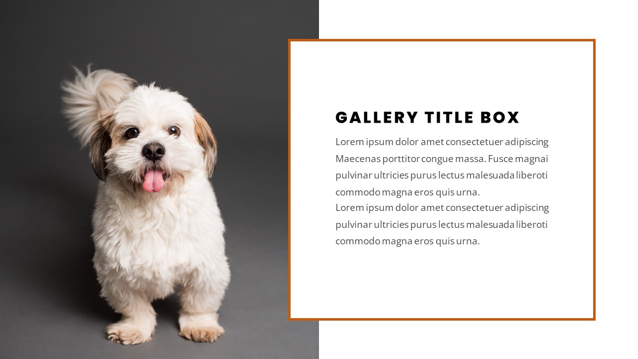 Puppy - Pet Care Animal Powerpoint Template, Presentation Templates