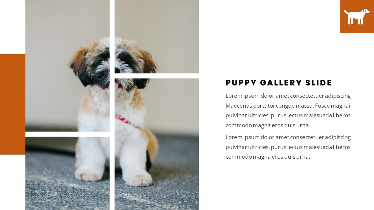 Puppy - Pet Care Animal Powerpoint Template, Presentation Templates