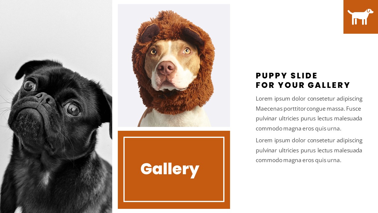 Puppy - Pet Care Animal Powerpoint Template, Presentation Templates