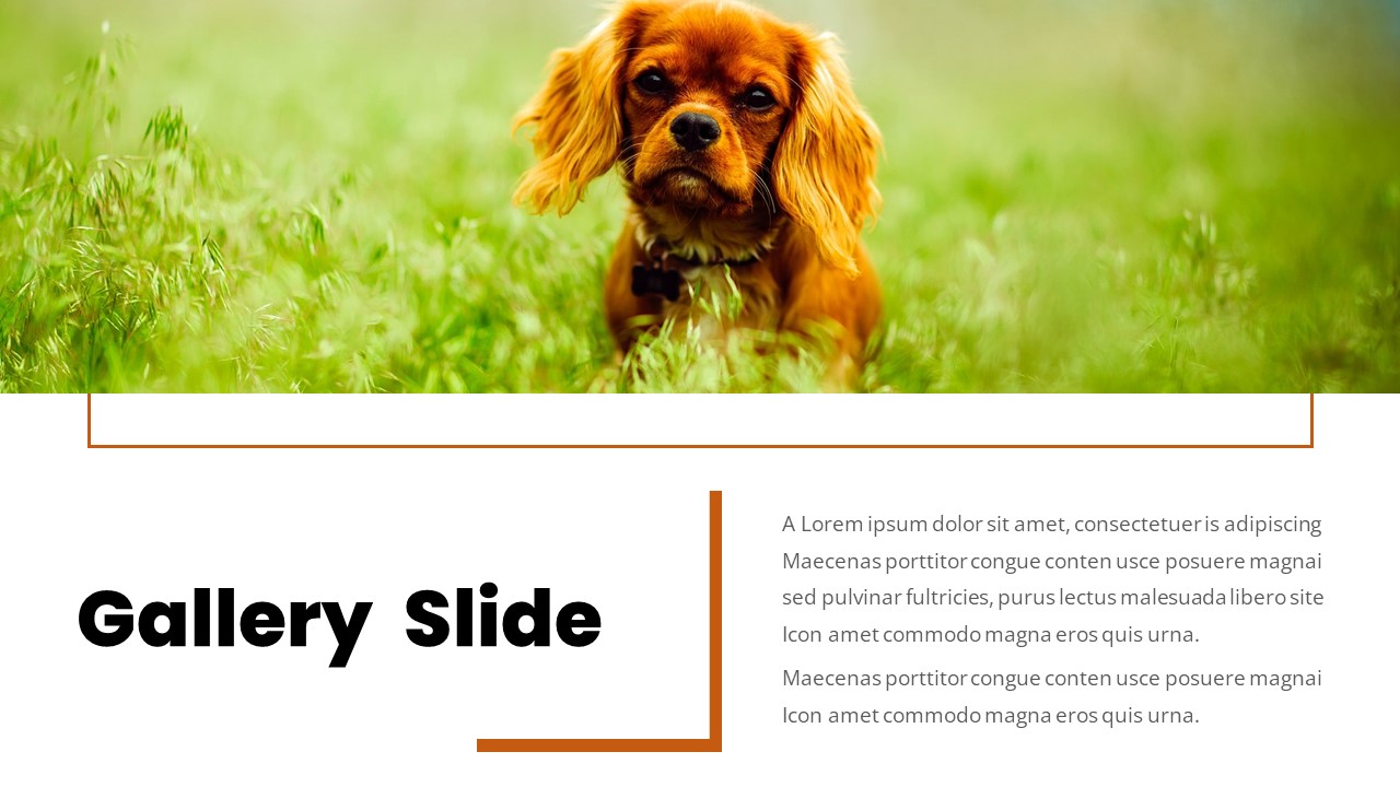 Puppy - Pet Care Animal Powerpoint Template, Presentation Templates