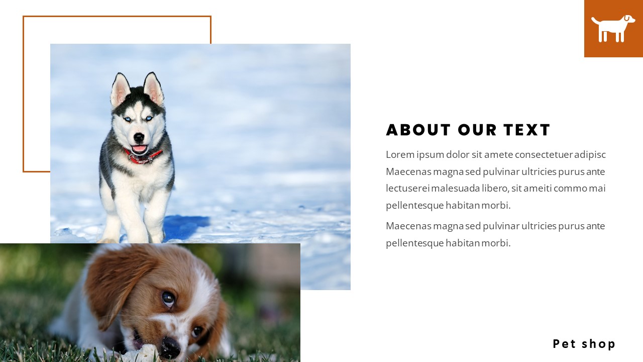 Puppy - Pet Care Animal Powerpoint Template, Presentation Templates