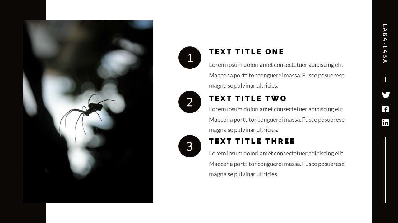 Tarantula - Spider Animal Care Powerpoint Template, Presentation Templates