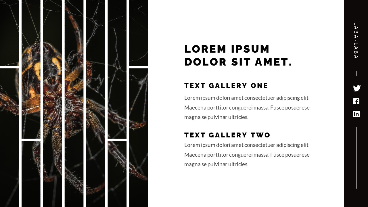 Tarantula - Spider Animal Care Powerpoint Template, Presentation Templates