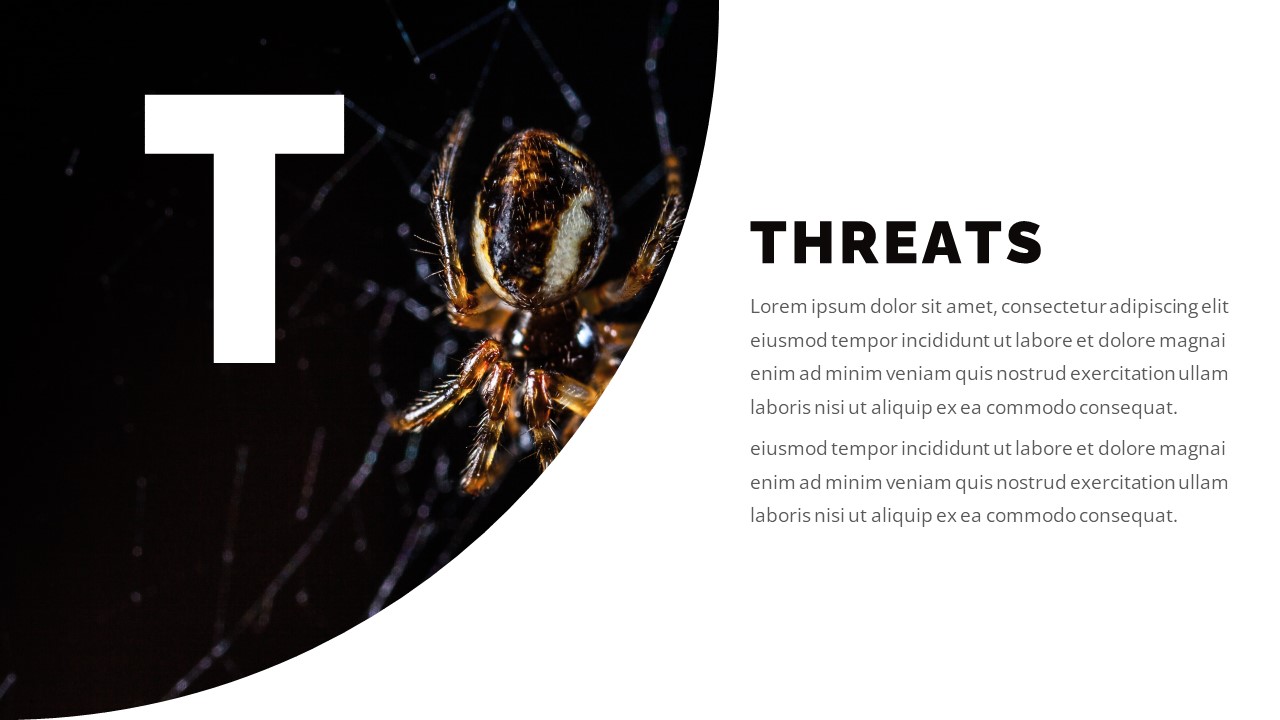 Tarantula - Spider Animal Care Powerpoint Template, Presentation Templates