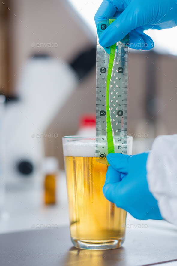 Quality control expert carefully examines beer samples in a modern ...